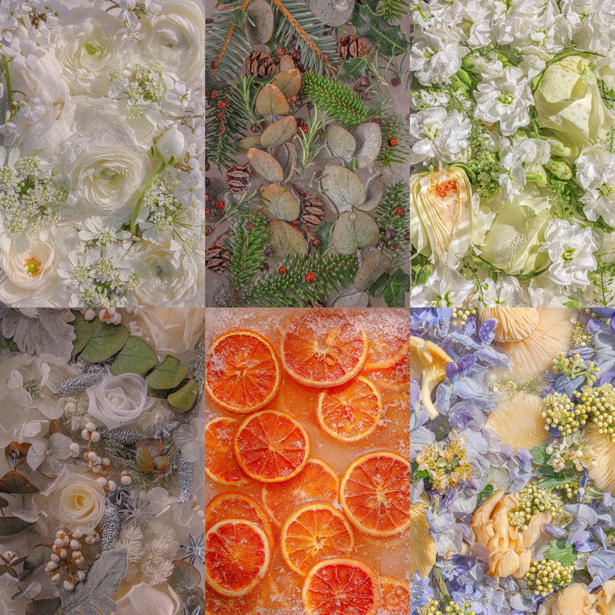 Digital Wallpaper package. Winter ️ – Flower Blocks