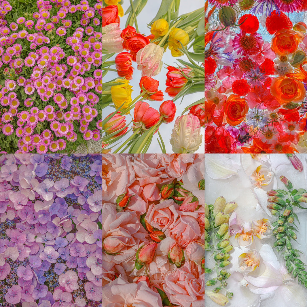 Joe Horner Prints – Flower Blocks