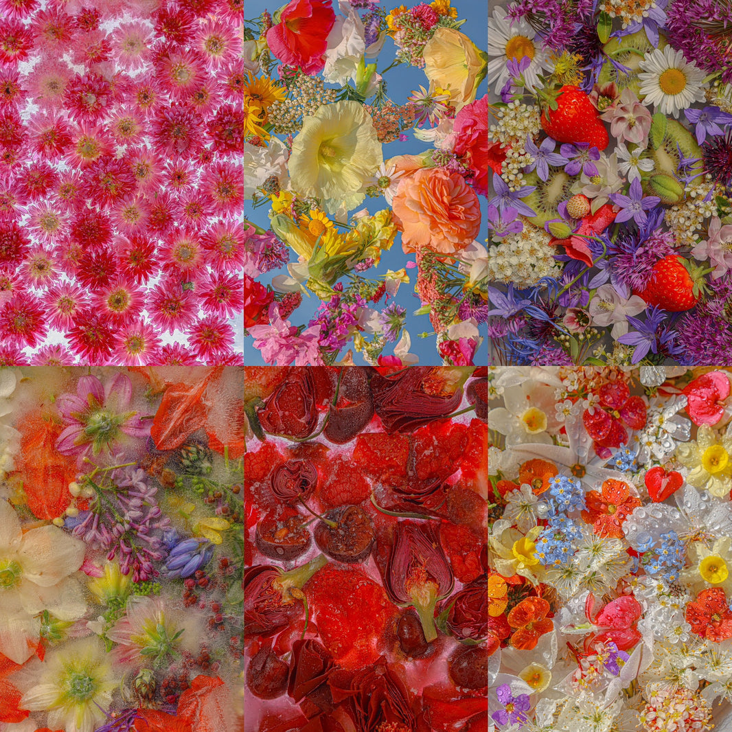 Joe Horner Prints – Flower Blocks