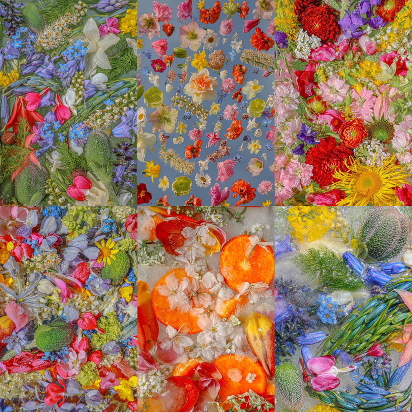 Joe Horner Prints – Flower Blocks