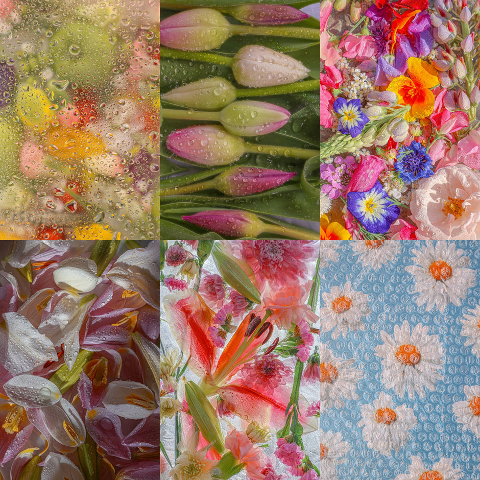 Joe Horner Prints – Flower Blocks