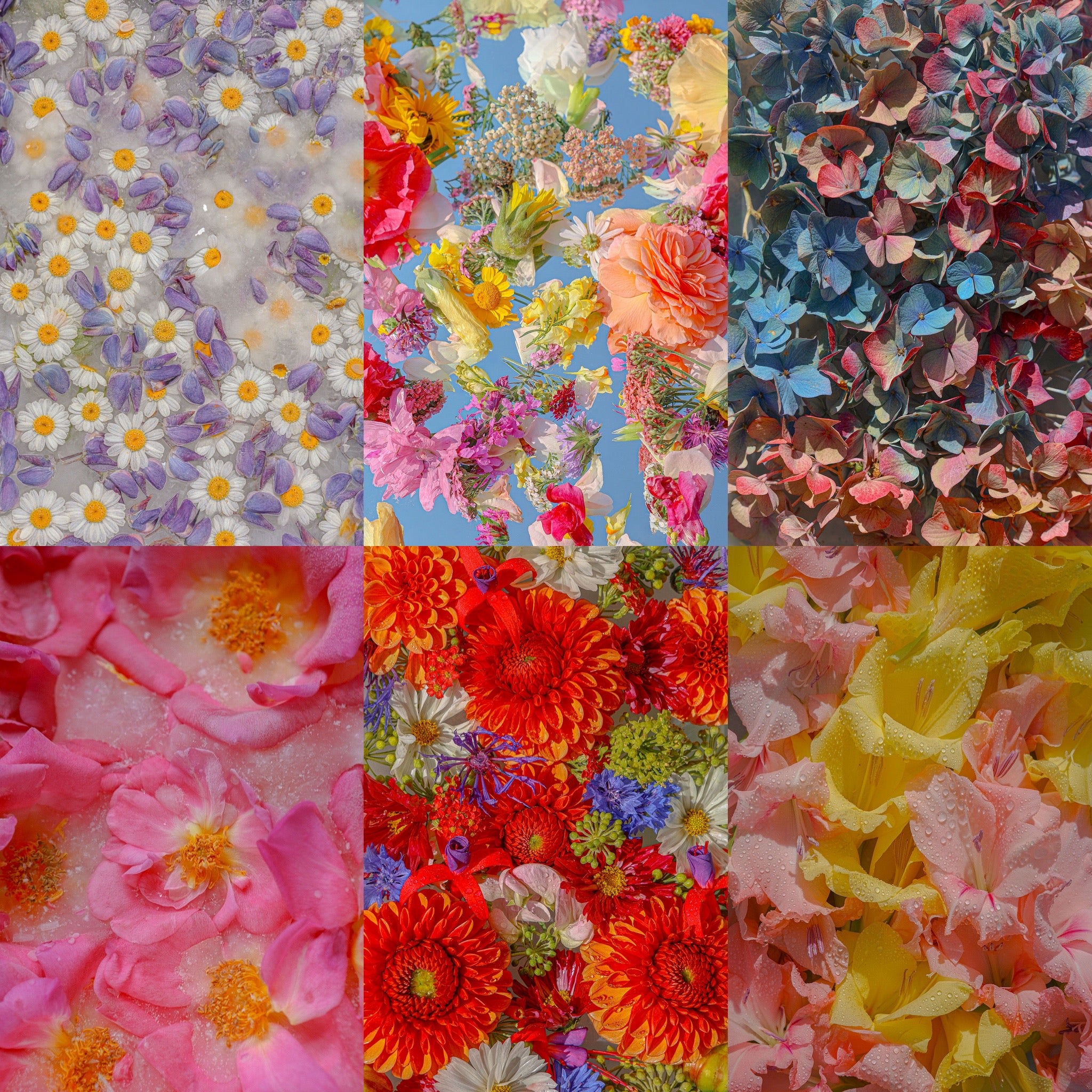 Joe Horner Prints – Flower Blocks