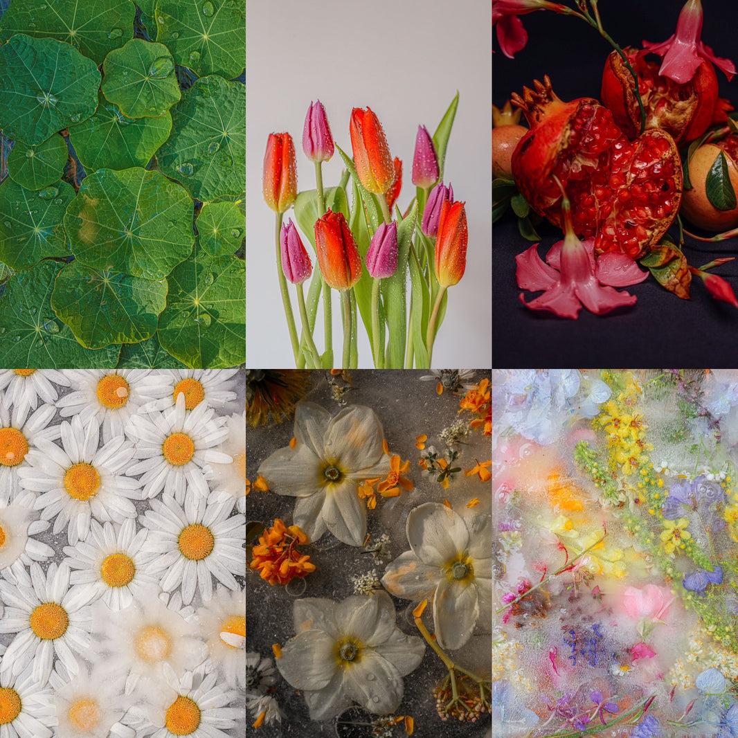 Products – Flower Blocks