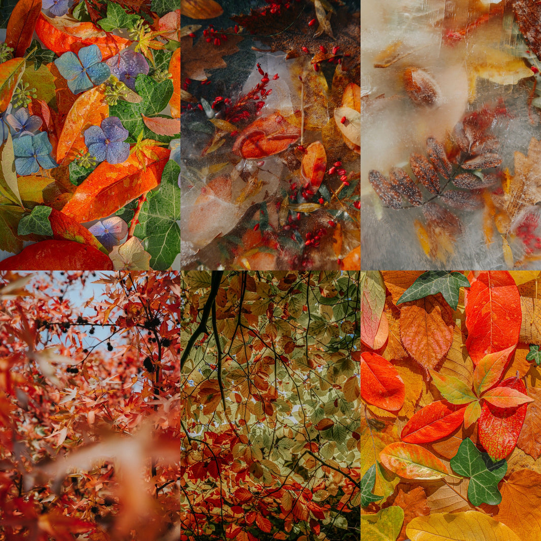 Joe Horner Prints – Flower Blocks