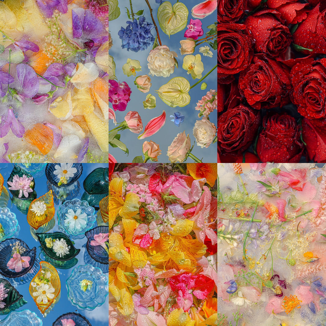 Joe Horner Prints – Flower Blocks