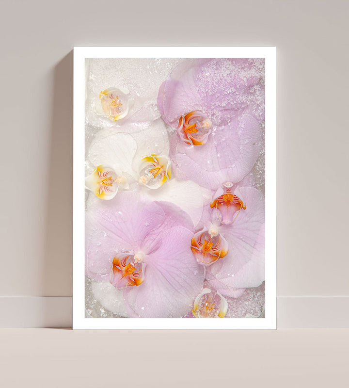 Joe Horner Prints – Flower Blocks