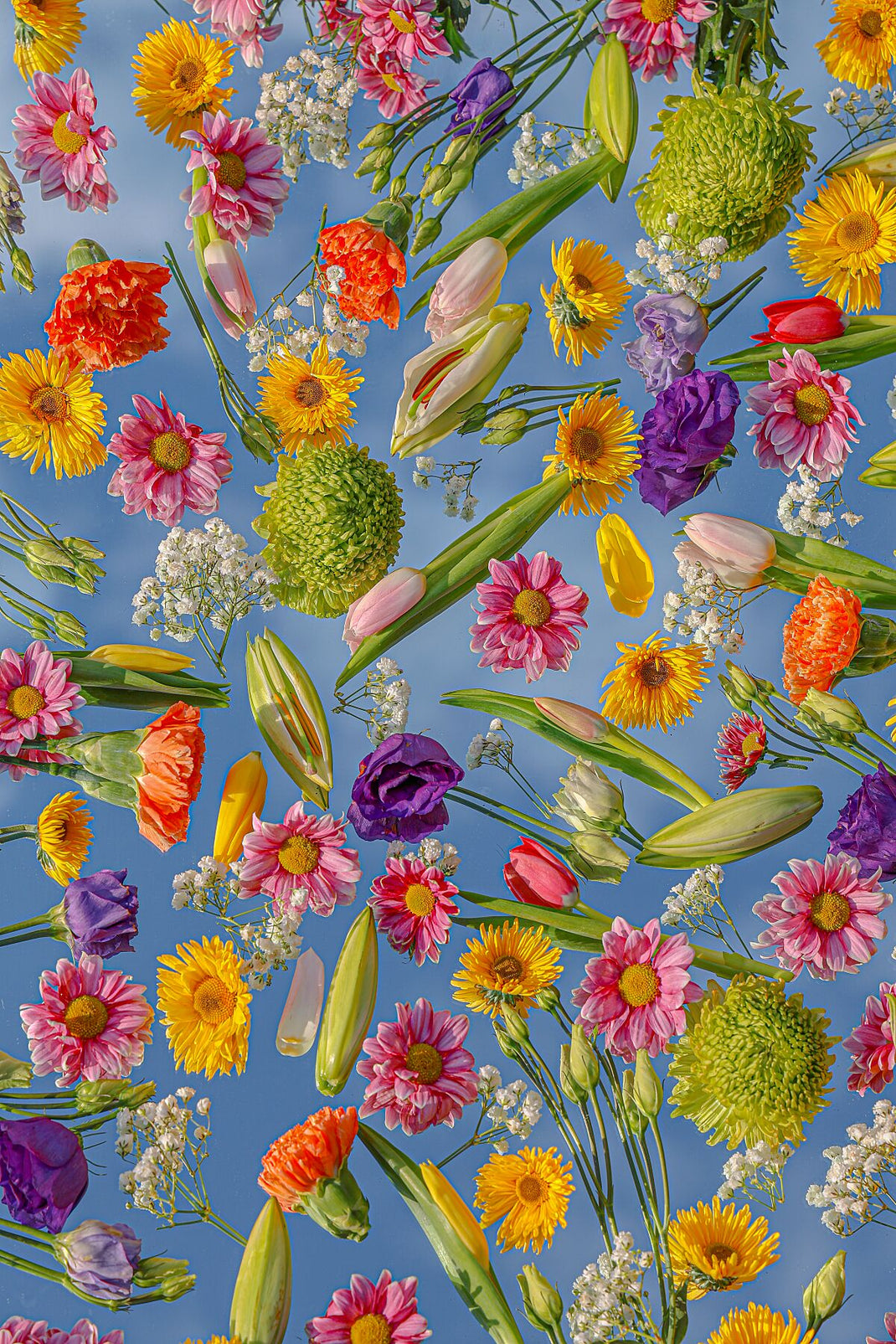 Joe Horner Prints – Flower Blocks
