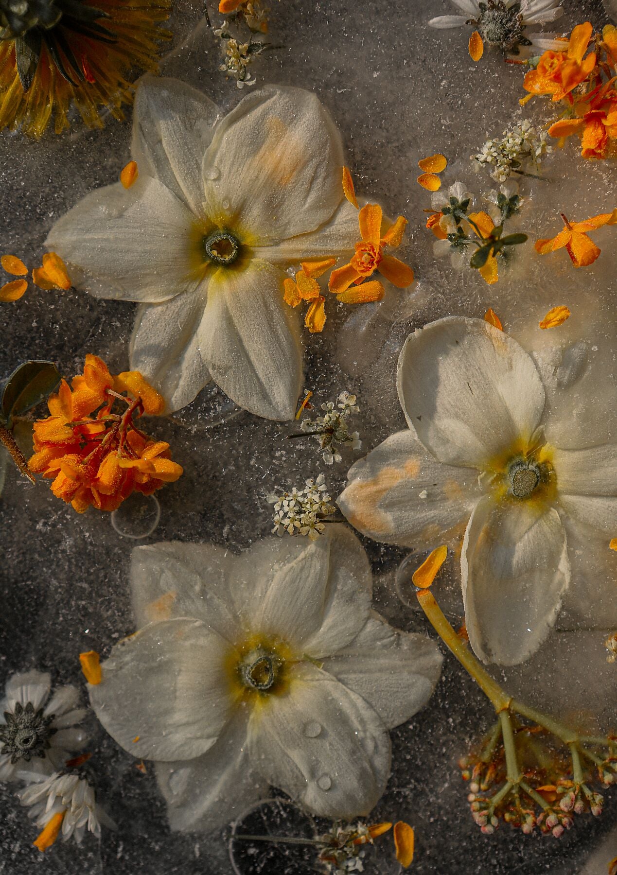 Products – Flower Blocks